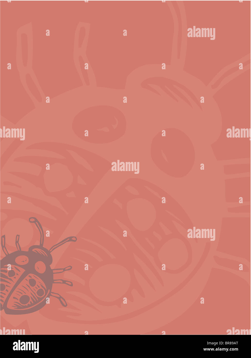 Lady bug on light red background Stock Photo - Alamy