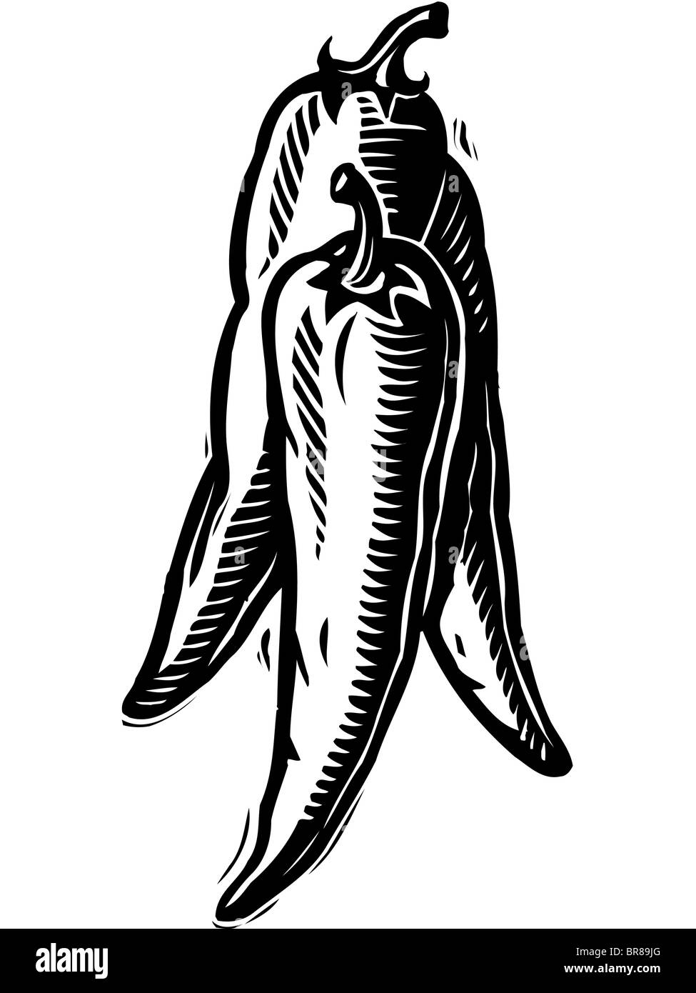 B three Cut Out Stock Images & Pictures - Alamy