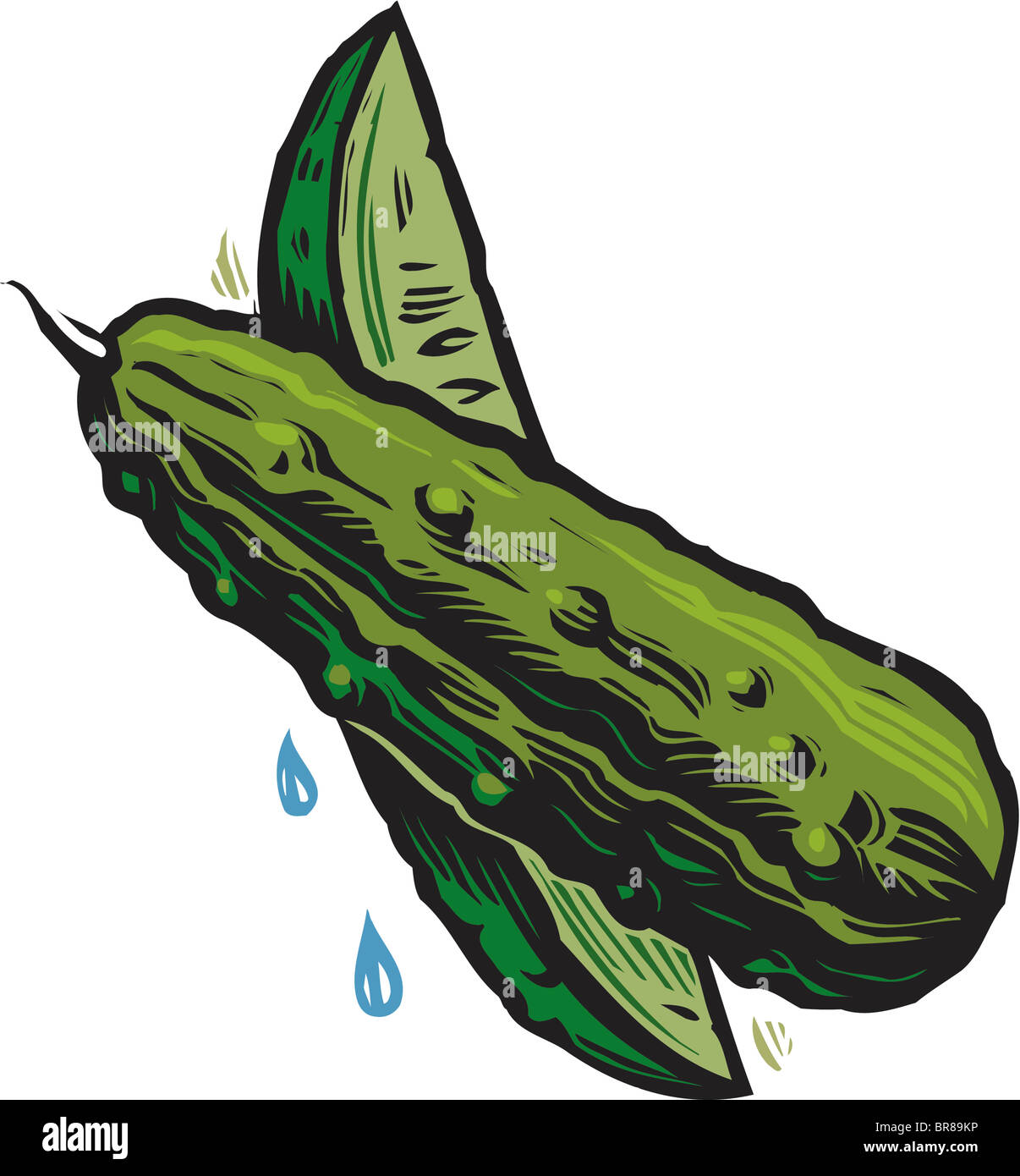 Imagezoo illustration Cut Out Stock Images & Pictures - Alamy