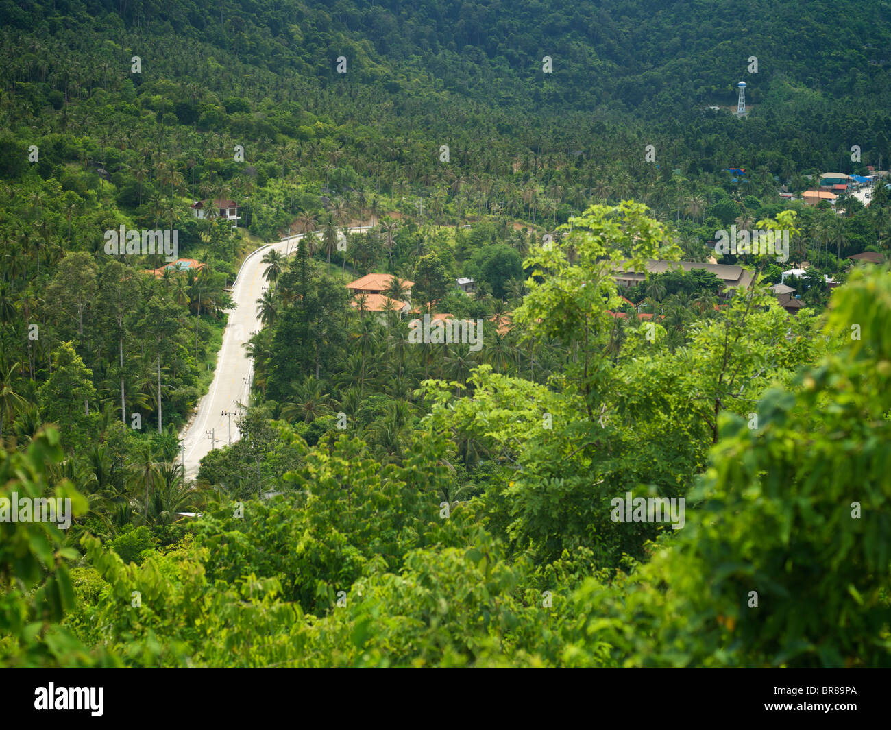Mountainous jungle hi-res stock photography and images - Alamy