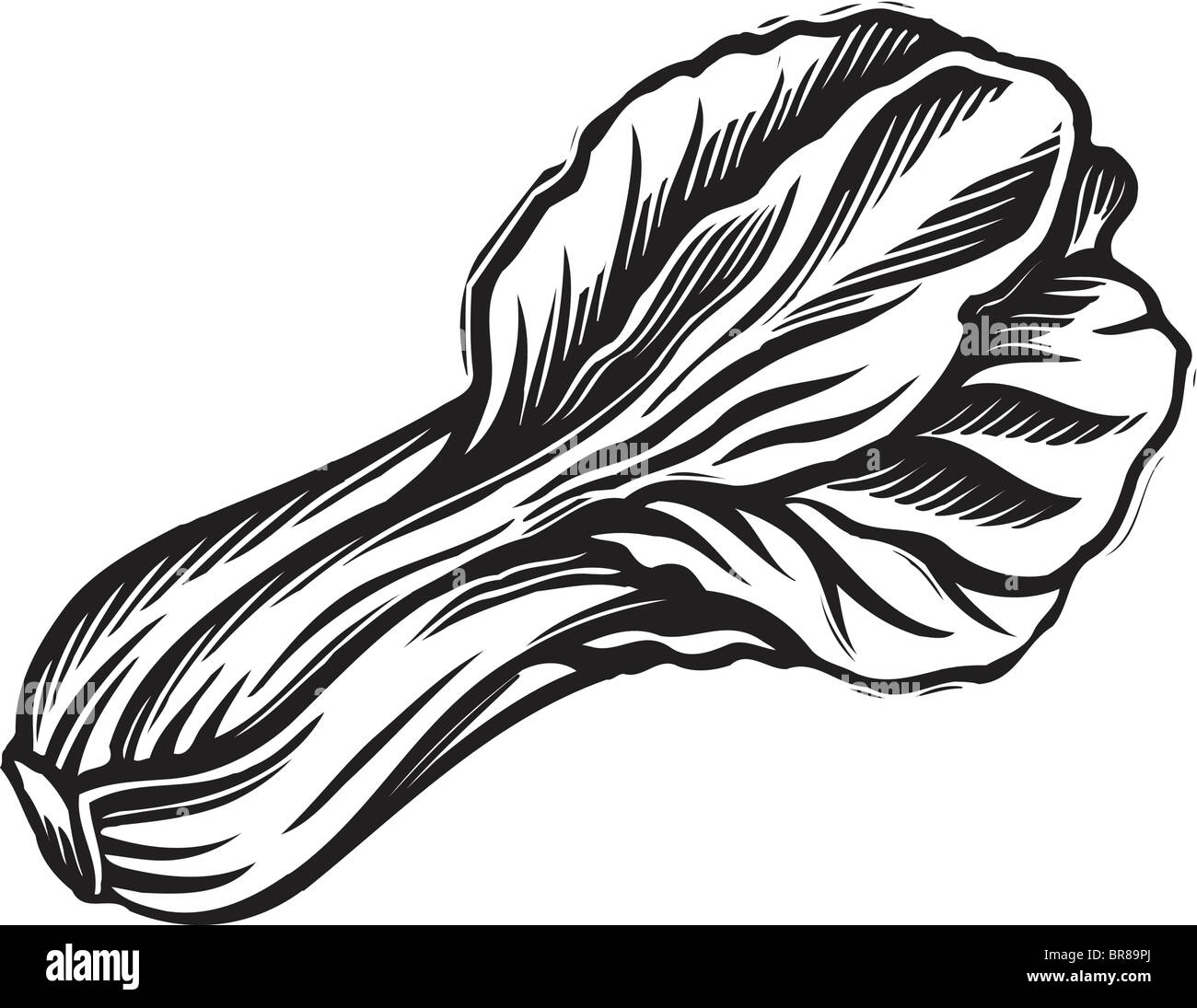 Pechay Clipart Black And White