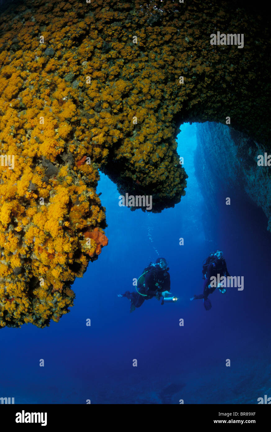 Two divers at the entrance of Grotta della Madonnina (The cave of the ...