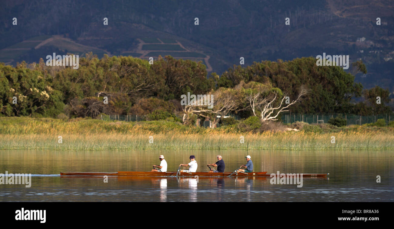 Men rowing in Zeekoevlei, Cape Town, South Africa Stock Photo - Alamy