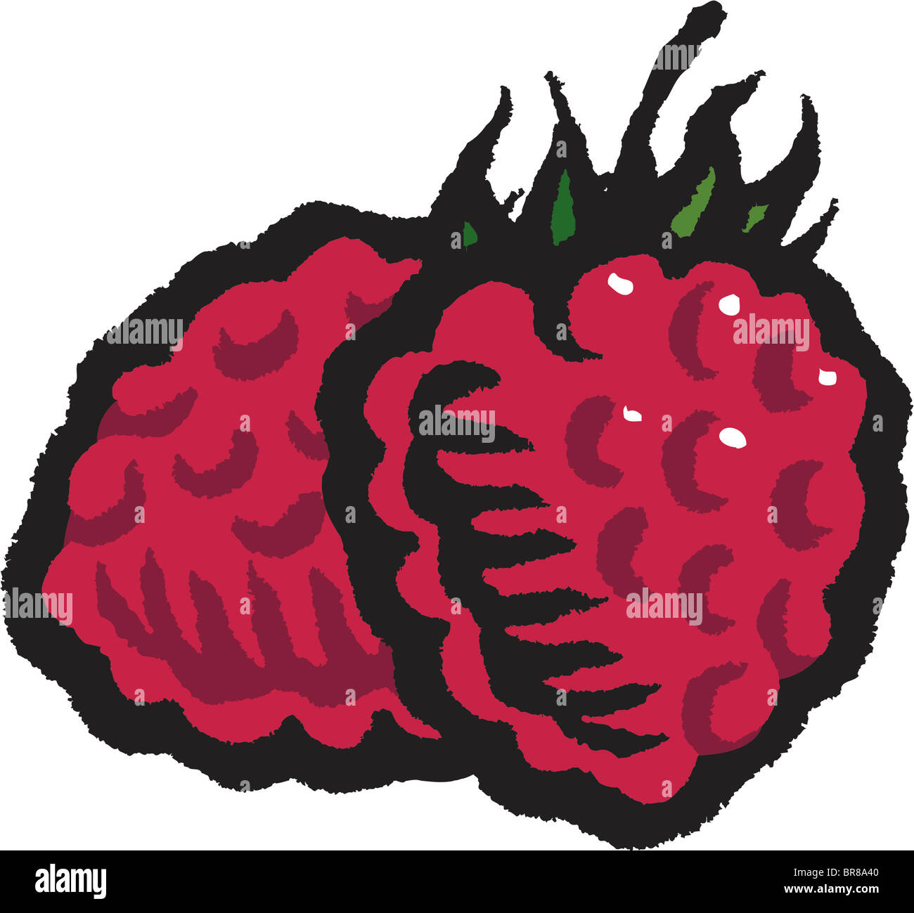 A picture of two red raspberries Stock Photo - Alamy