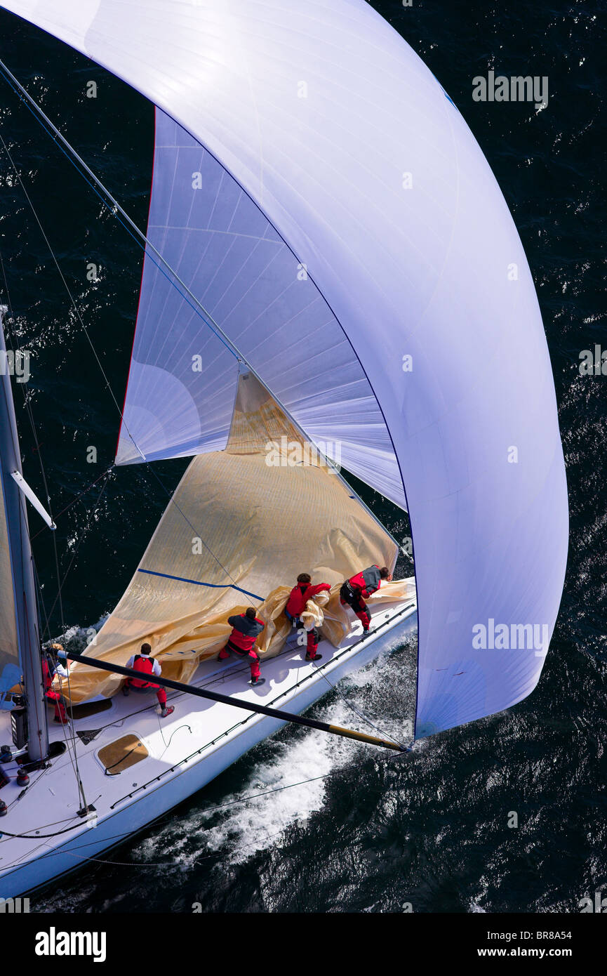 Crew taking down the head sail while sailing downwind under spinnaker ...