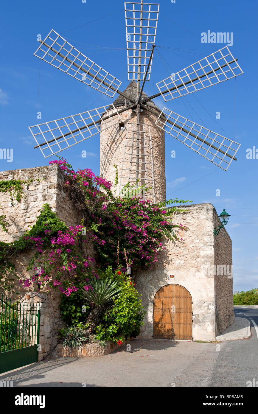 Restored windmill. Sineu village. Mallorca Island. Spain Stock Photo ...