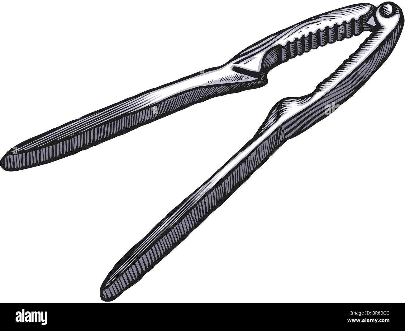 Lobster drawing hi-res stock photography and images - Alamy