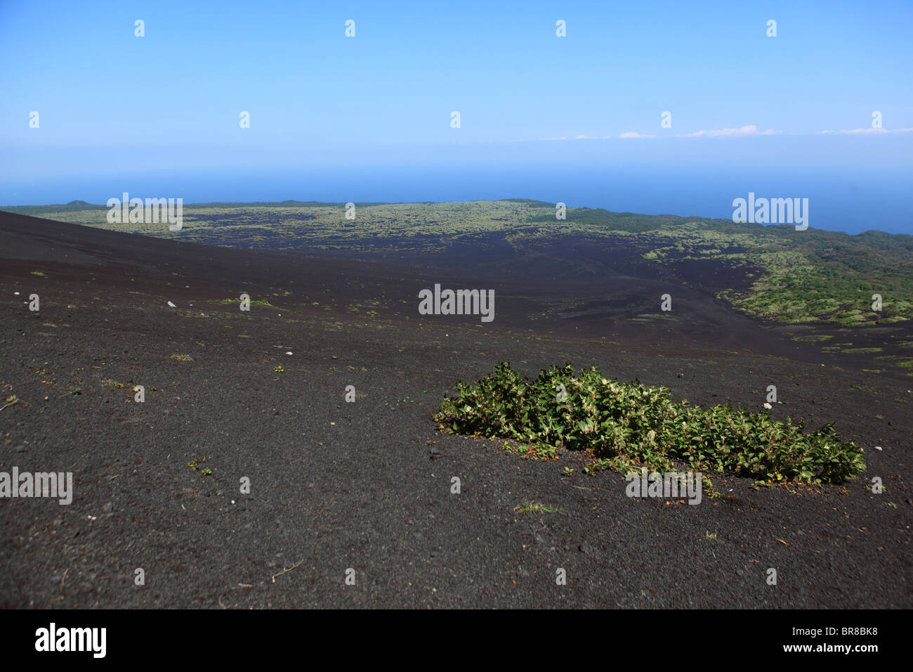 Mt mihara volcano grass hi-res stock photography and images - Alamy