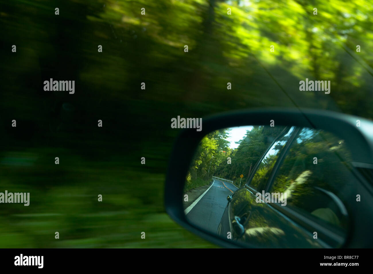 A Car Driving in Forest Stock Photo - Alamy