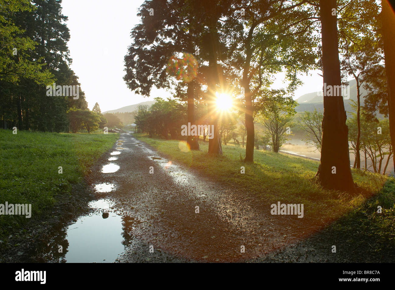 Sunshine After the Rain Stock Photo - Alamy
