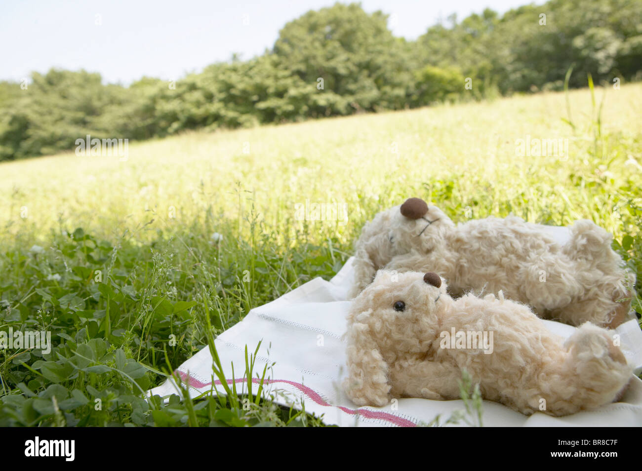 Anthropomorphic stuffed toy hi-res stock photography and images - Alamy