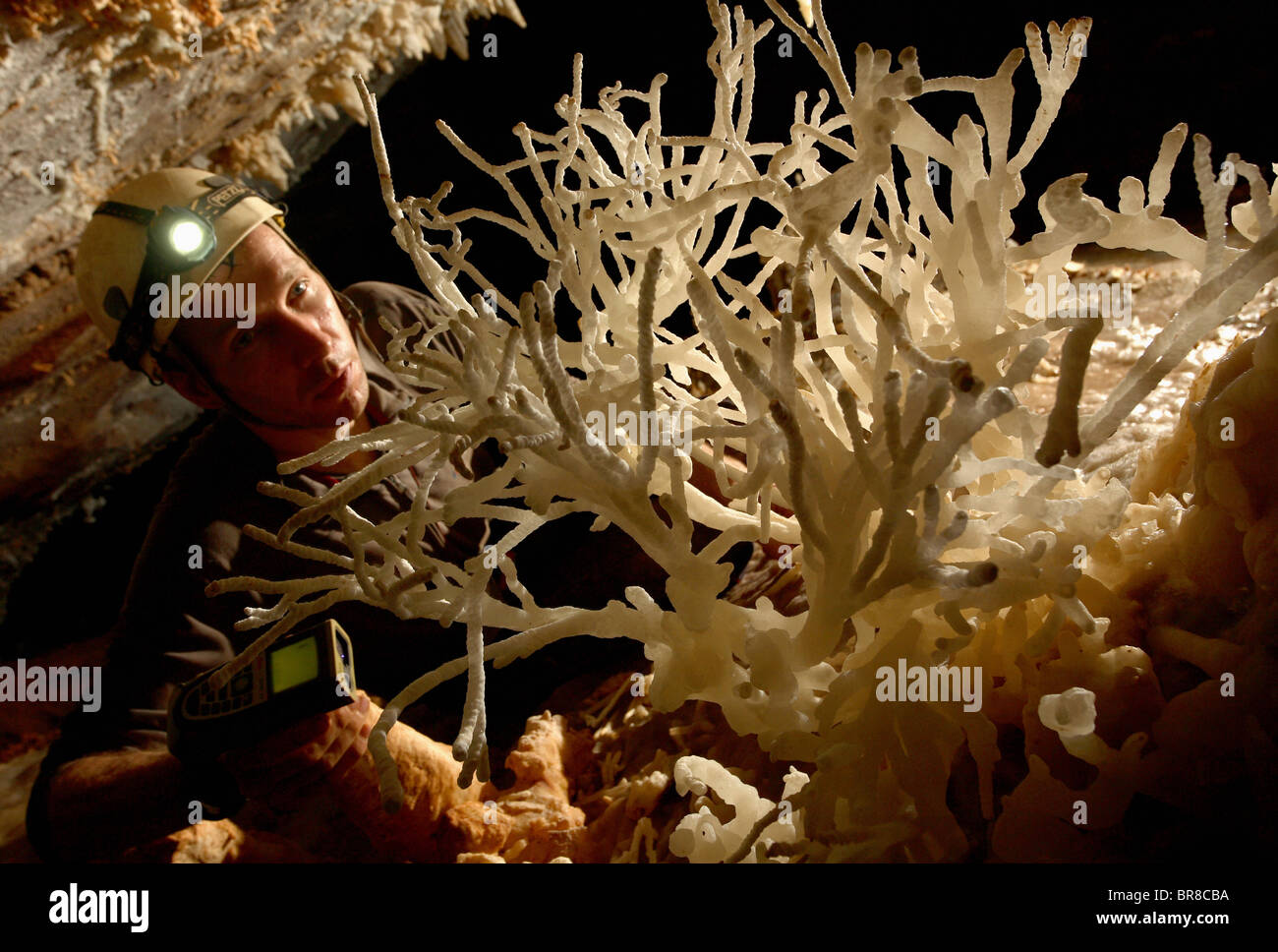 A British cave explorer admires this stunning and remarkable crystal ...