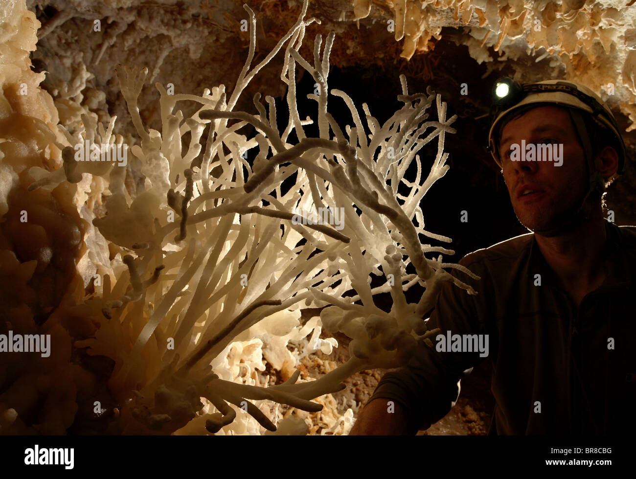 A British cave explorer admires this stunning and remarkable crystal ...