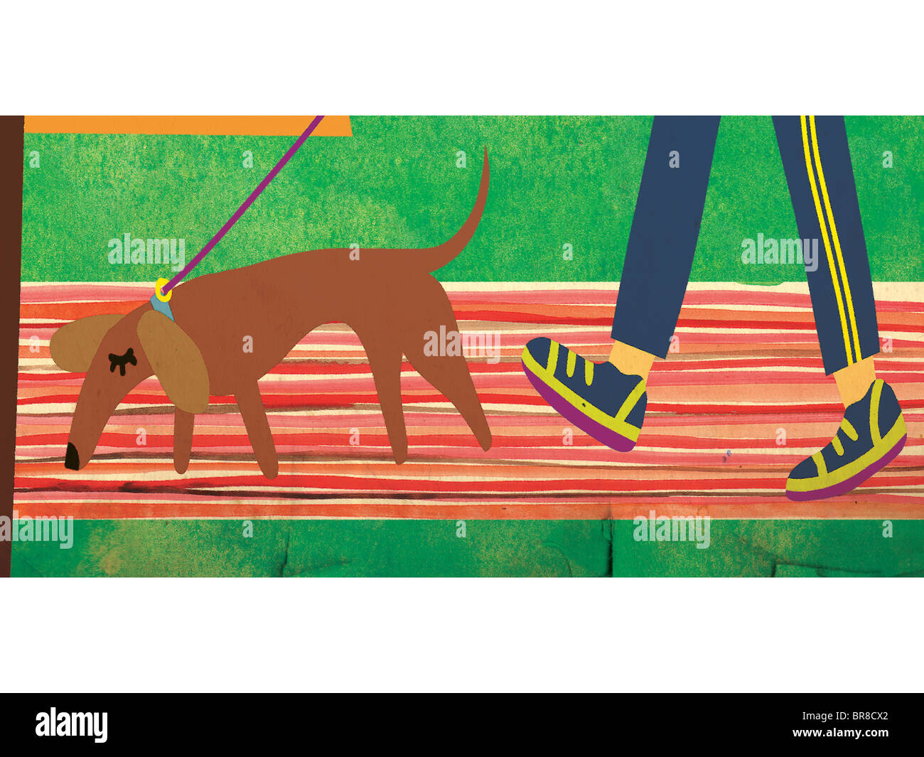 A close up of a dog and its owners feet walking Stock Photo - Alamy