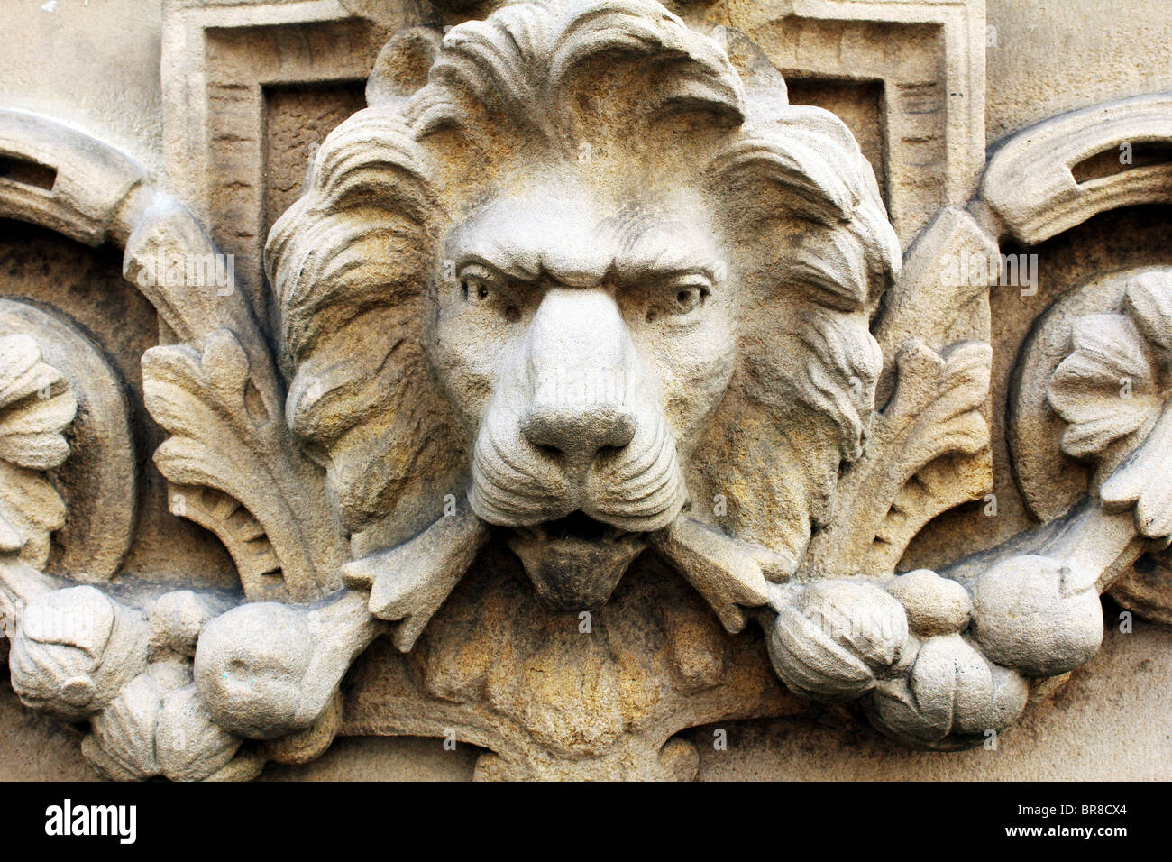 Stone Lion sculpture with bone Stock Photo - Alamy
