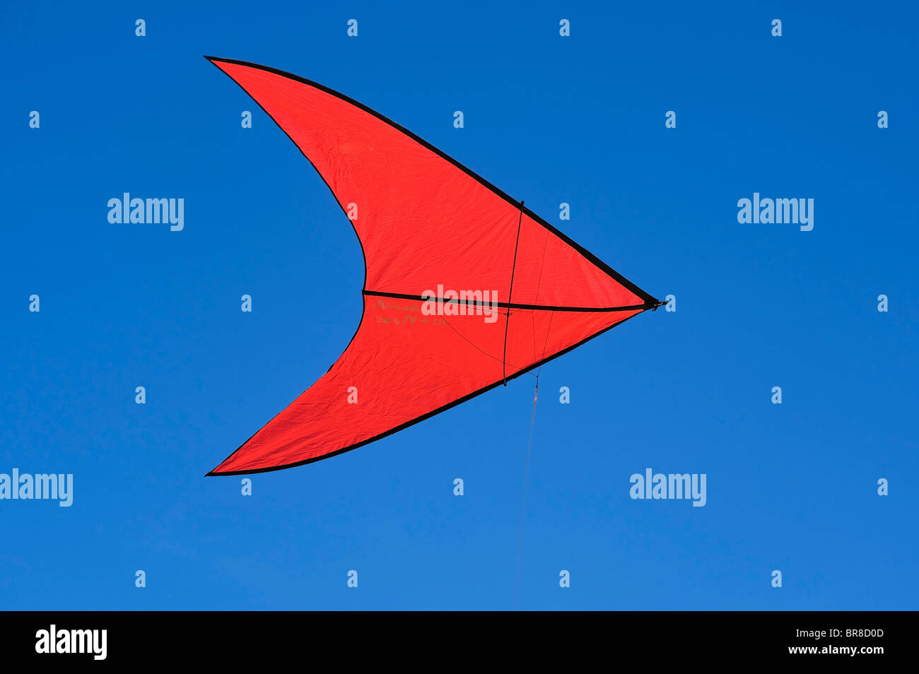 Italy Piedmont Turin Sauze d'Oulx a kite on the wing Stock Photo - Alamy