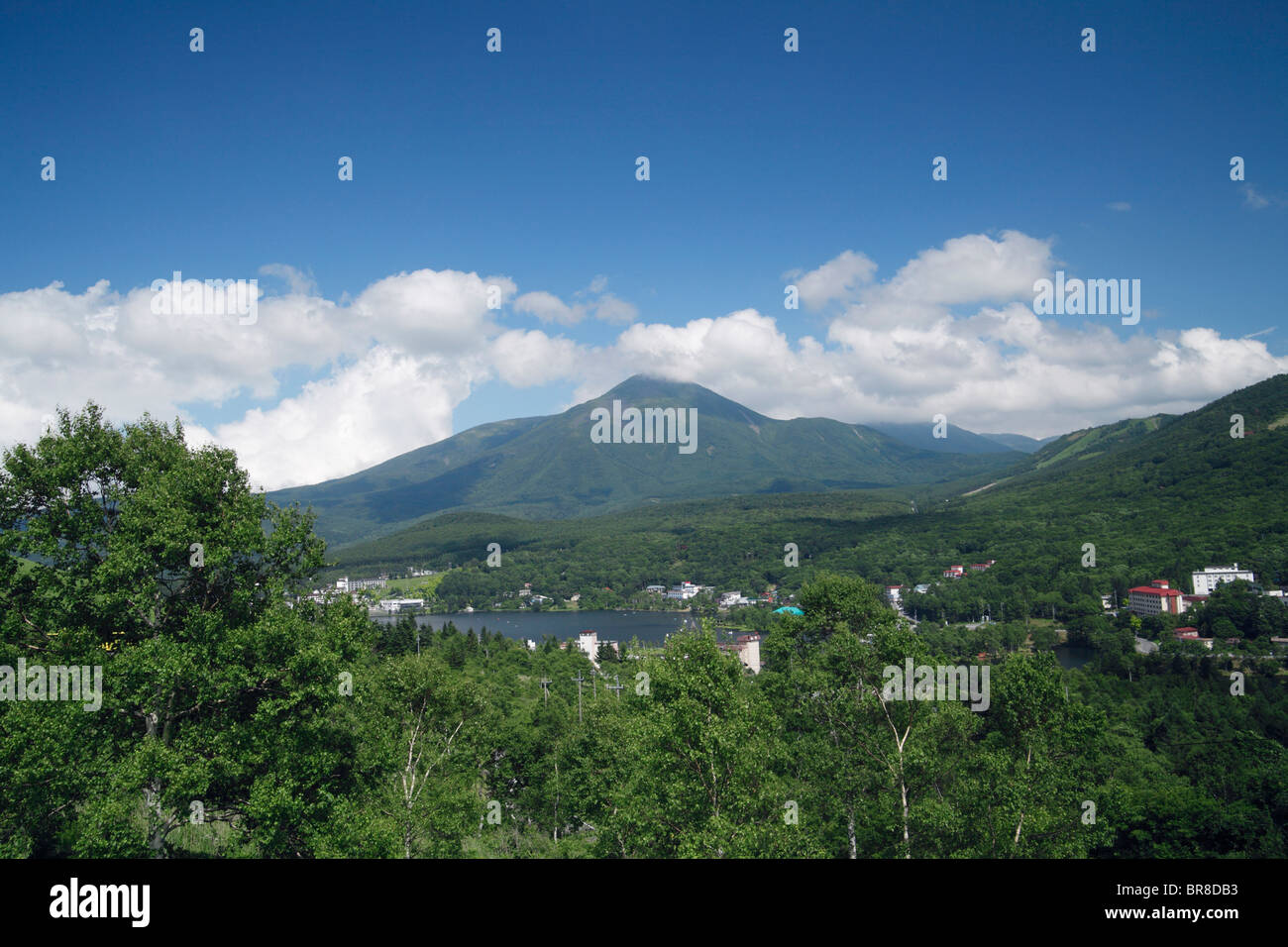 See shirakaba hi-res stock photography and images - Alamy