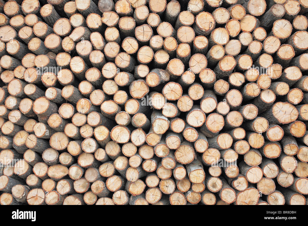 Stack of firewood Stock Photo - Alamy