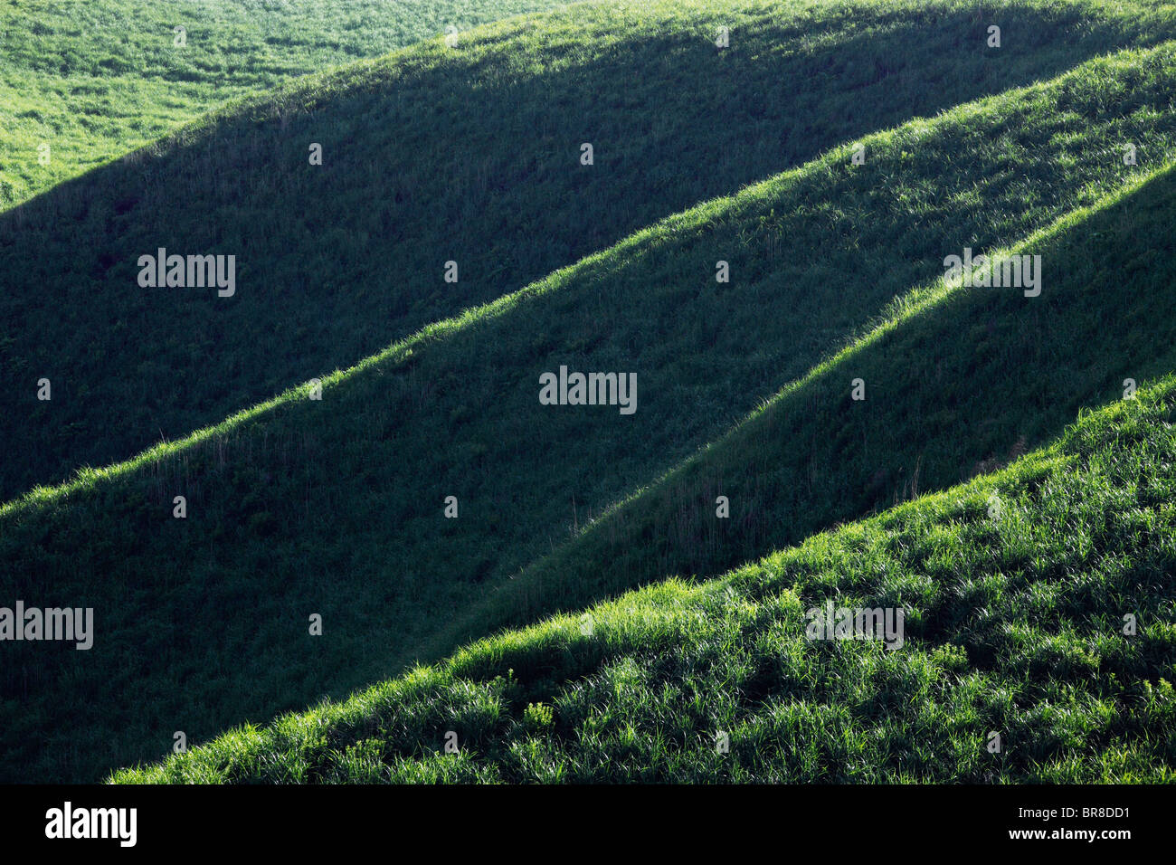 Aso image hi-res stock photography and images - Alamy