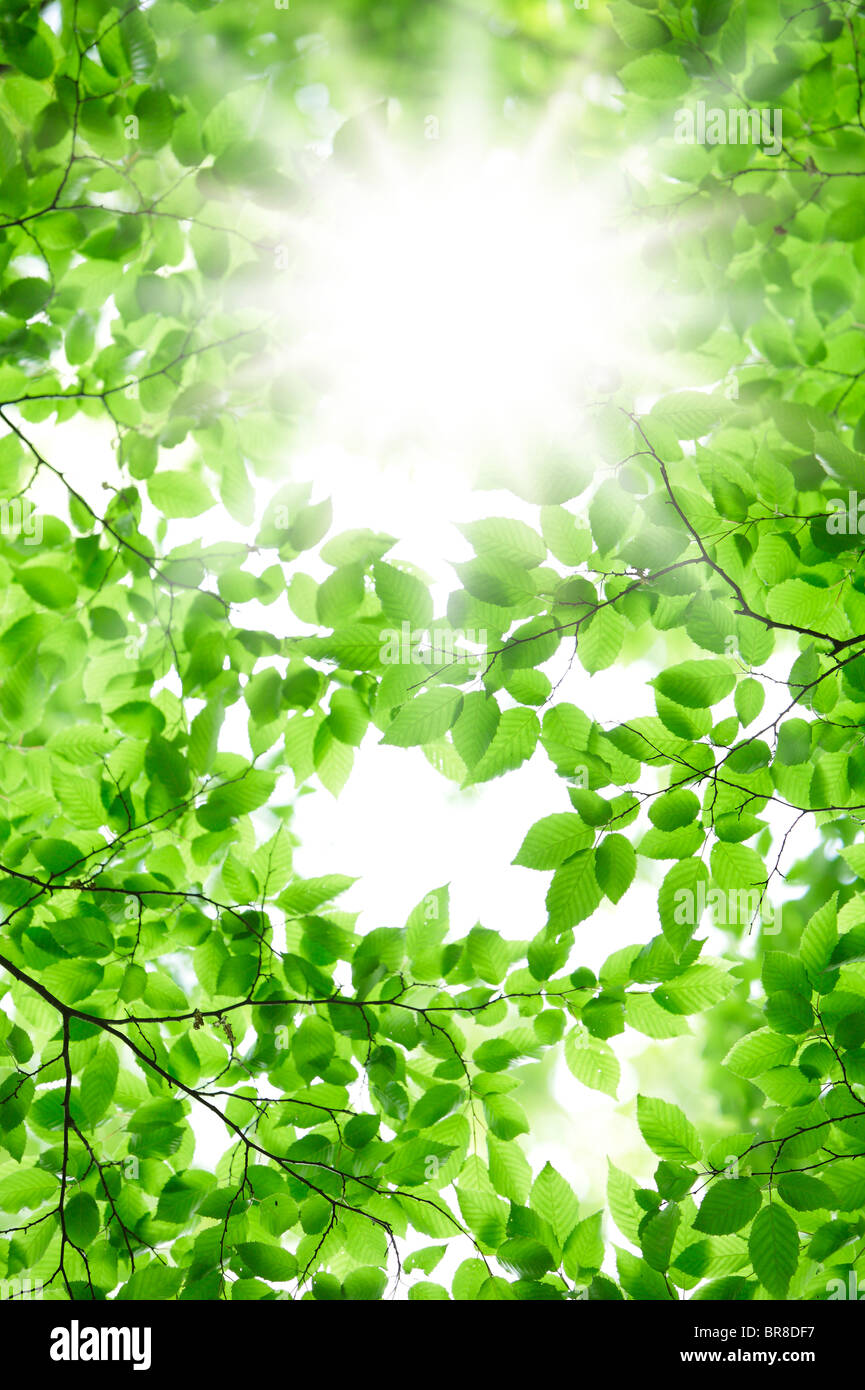 Cg images hi-res stock photography and images - Alamy