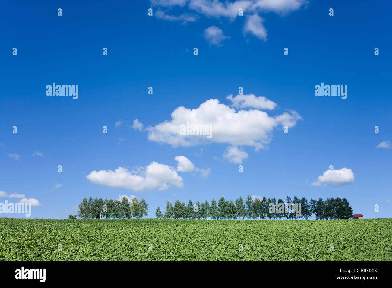 Farm land and trees Stock Photo - Alamy