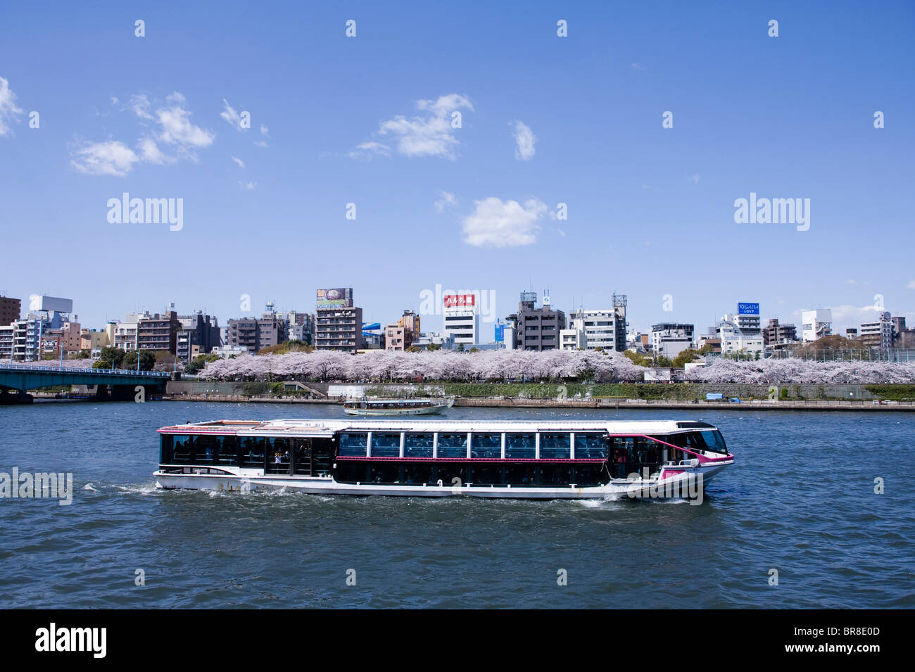 Sumida river in Spring Stock Photo - Alamy