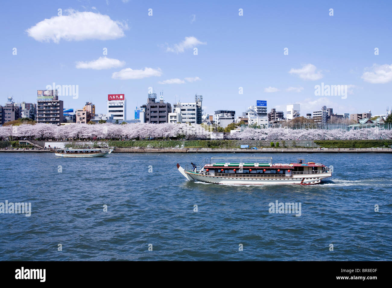 Sumida river in Spring Stock Photo - Alamy