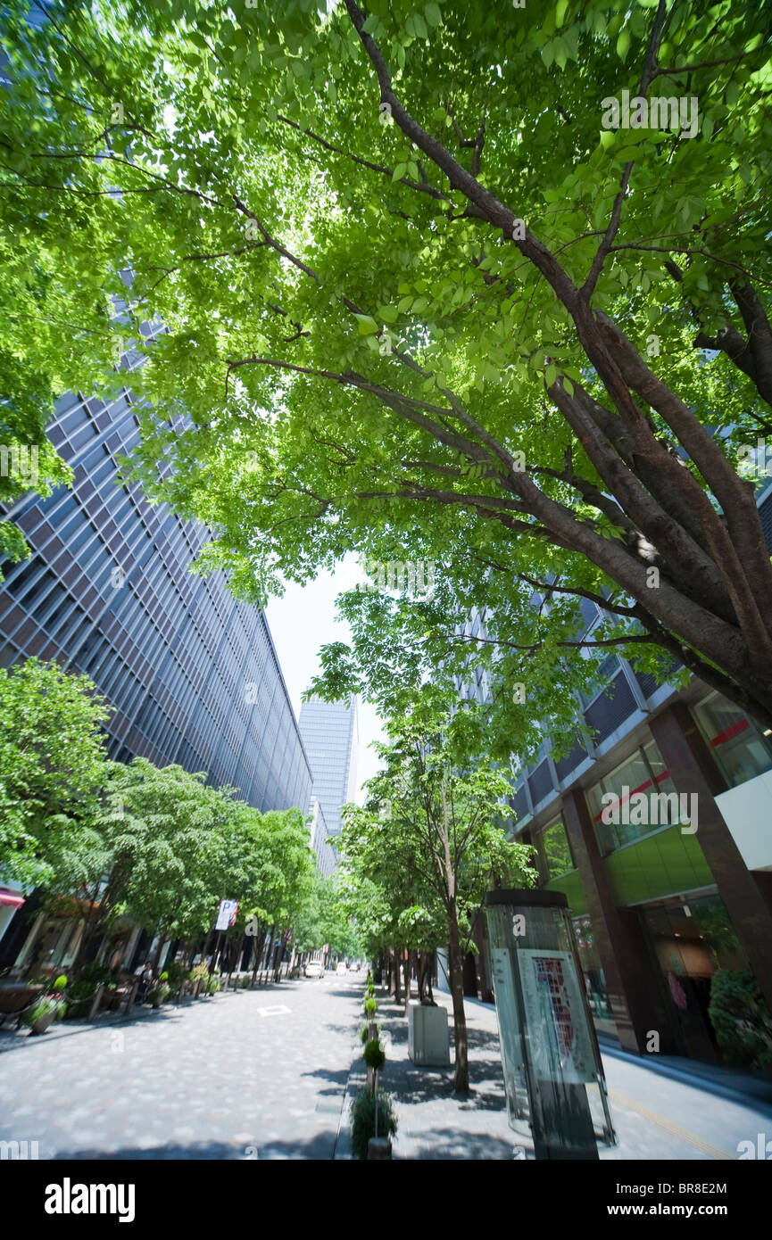 Outside in office street view hi-res stock photography and images - Alamy