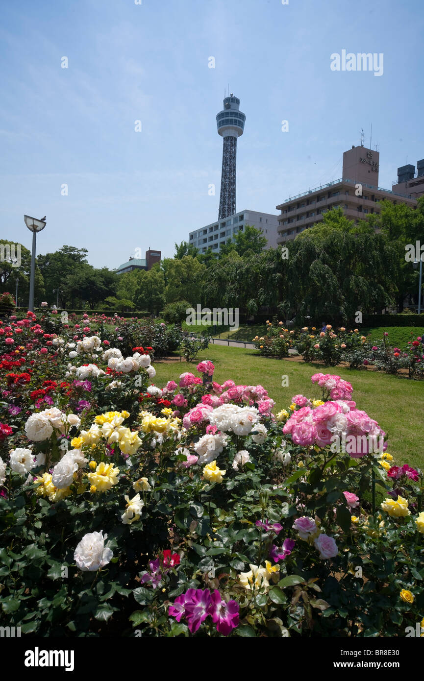Rose tower hi-res stock photography and images - Alamy