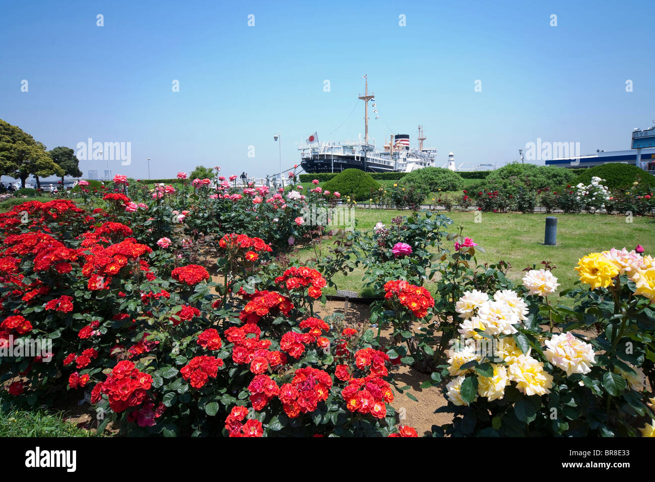 Rose garden and ship Stock Photo - Alamy