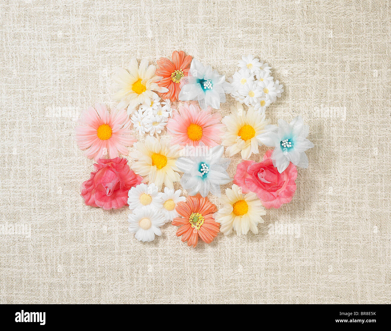 Large flower image hi-res stock photography and images - Alamy