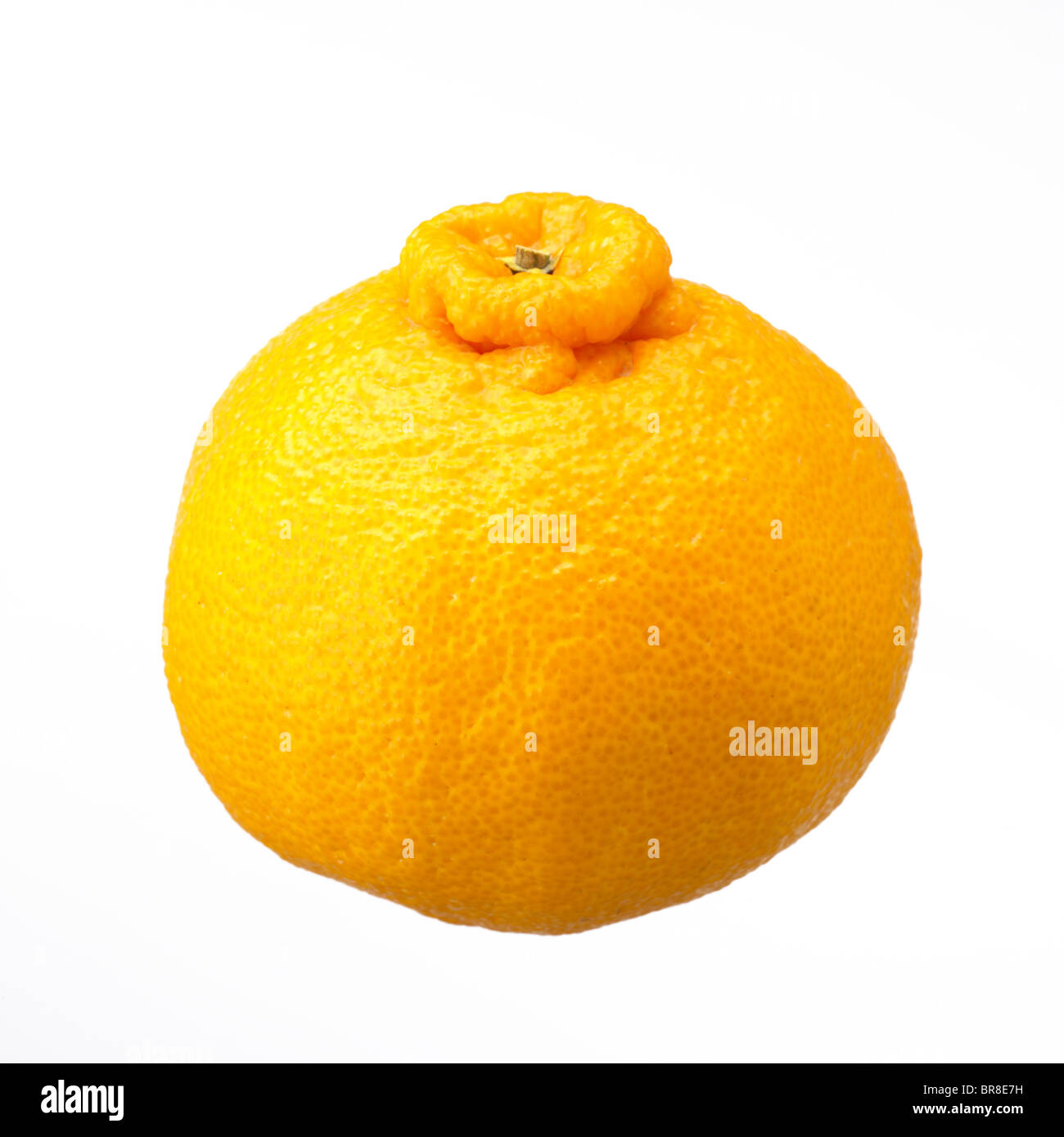 Dekopon (Citrus fruit Stock Photo - Alamy