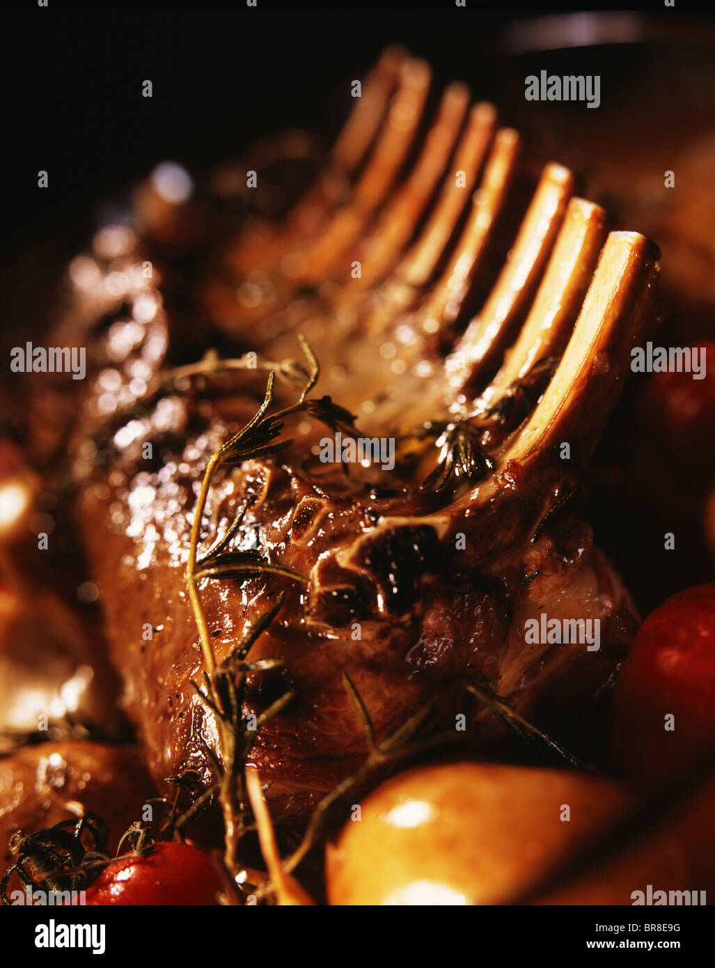 Ribcages hi-res stock photography and images - Alamy