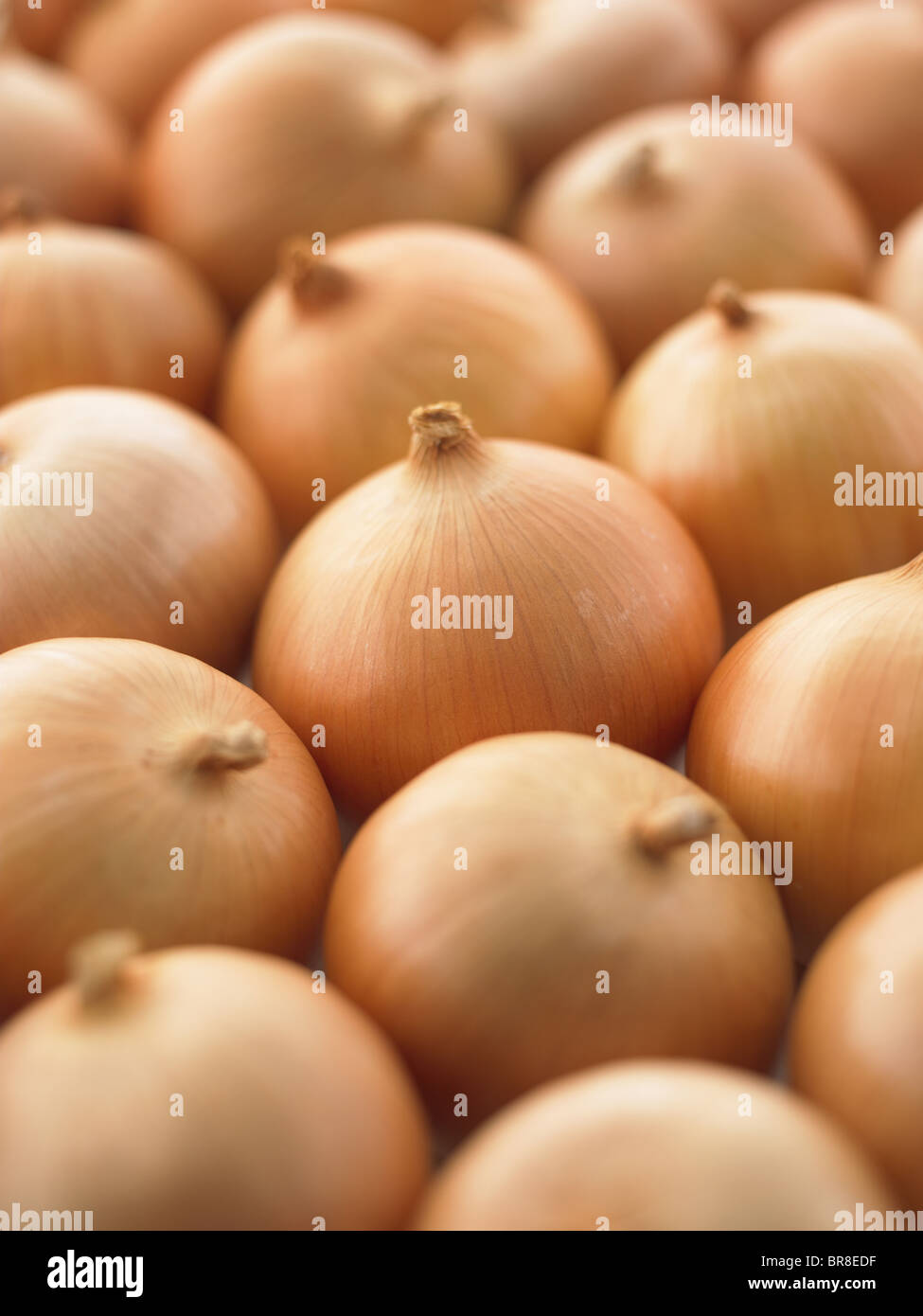 Stack of onions, full frame Stock Photo - Alamy