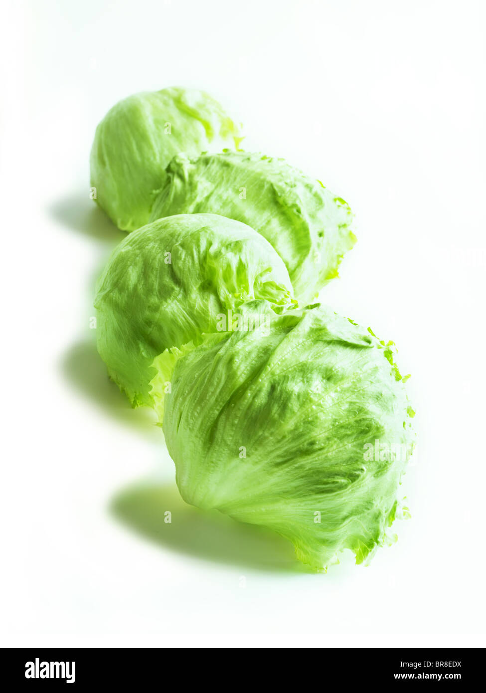 Lettuces on white background Stock Photo - Alamy