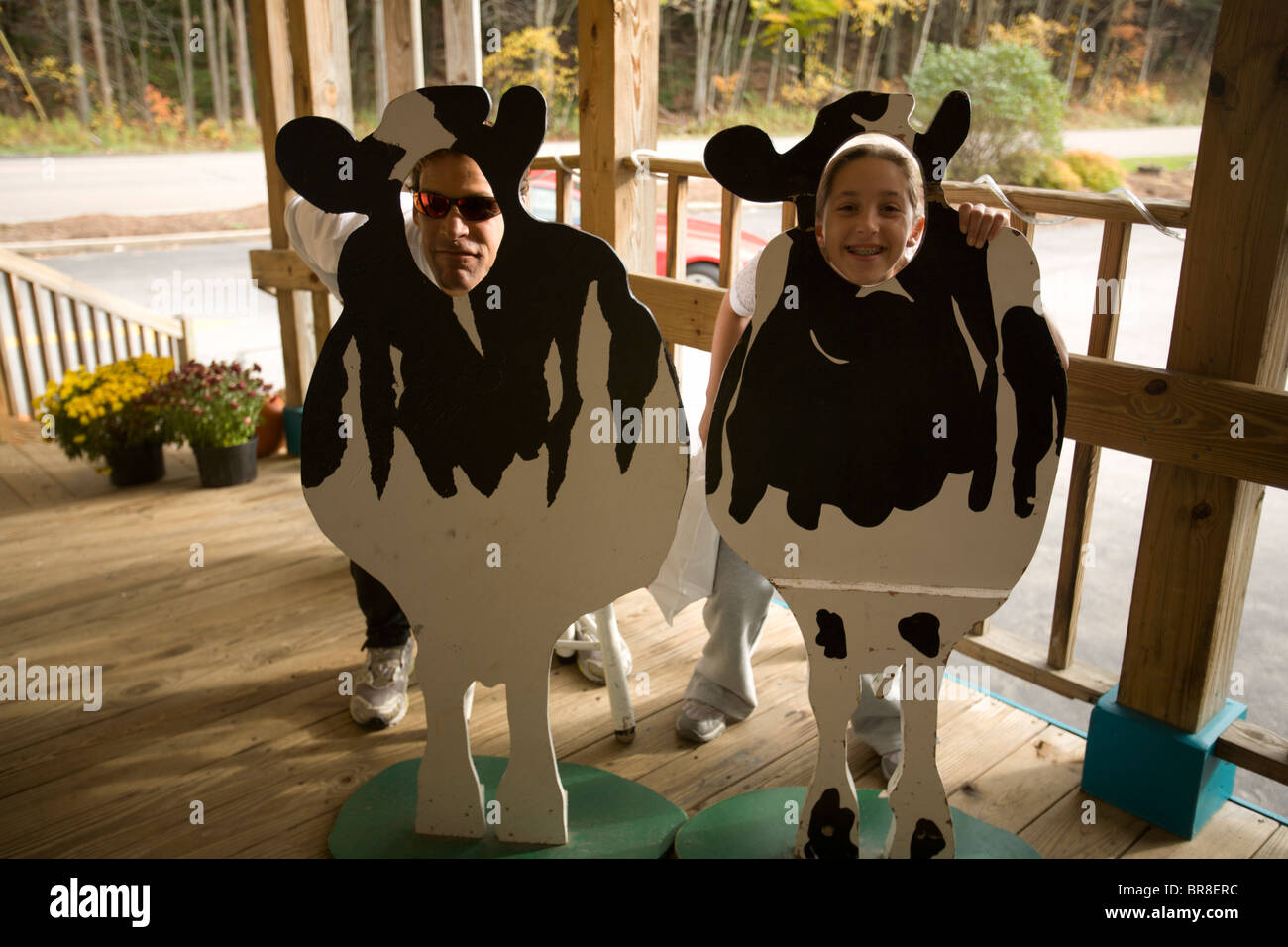 Man and his daughter with their faces in cardboard cow cutouts in Stowe ...