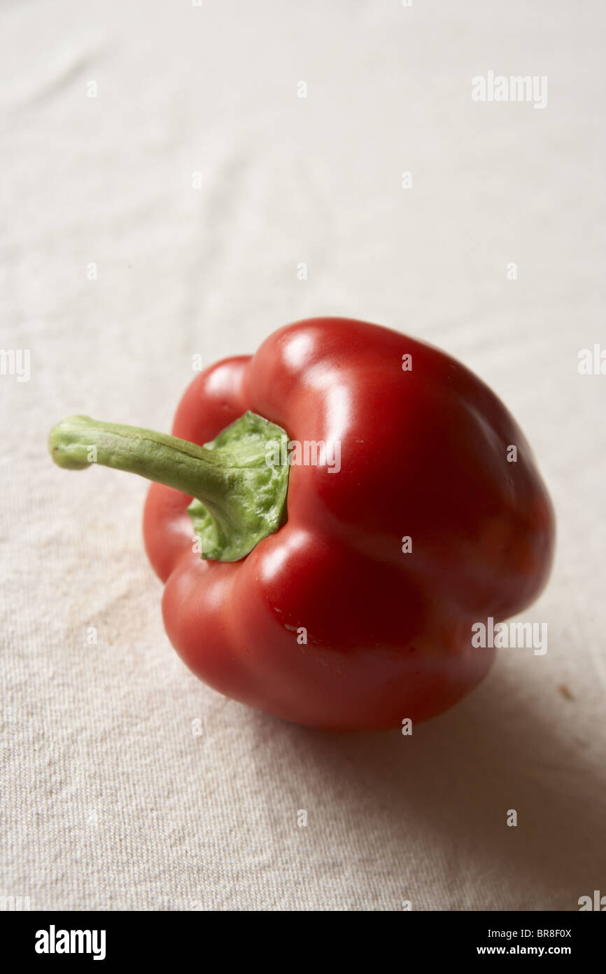 Red bell pepper, close up, white background Stock Photo - Alamy