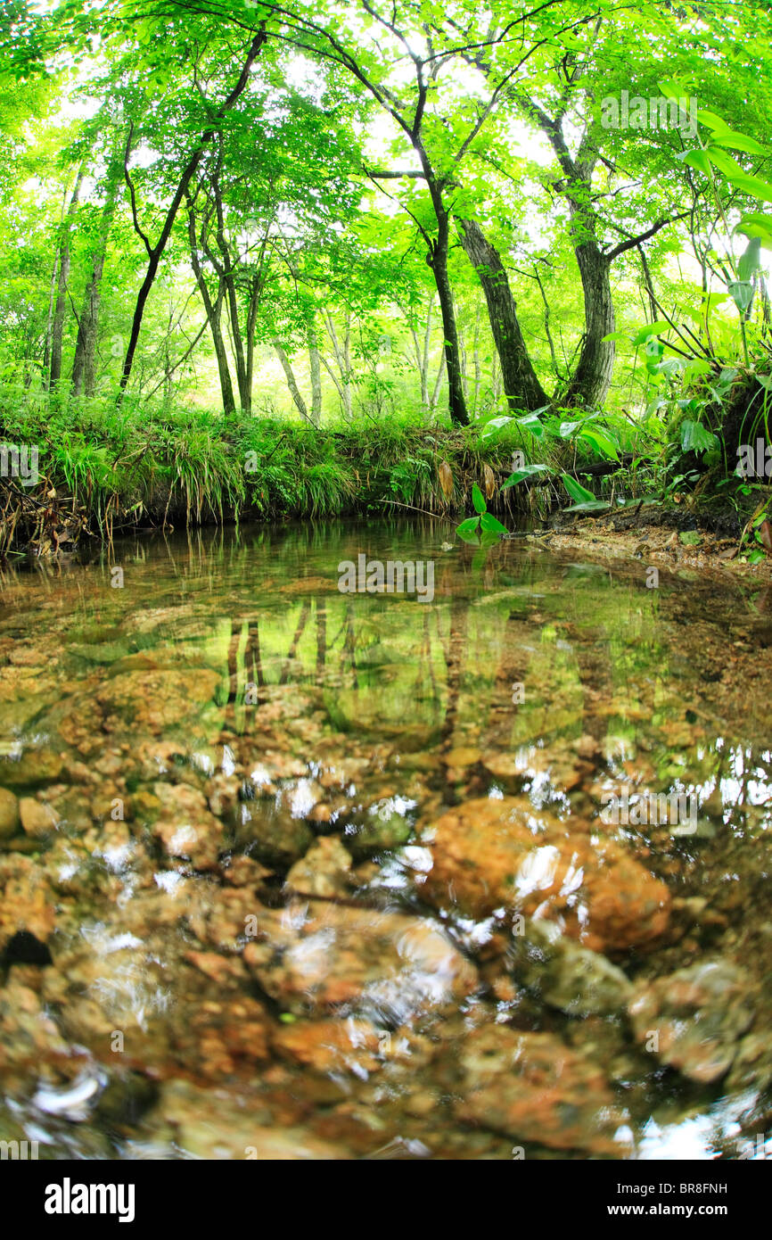 Billabongs hi-res stock photography and images - Alamy