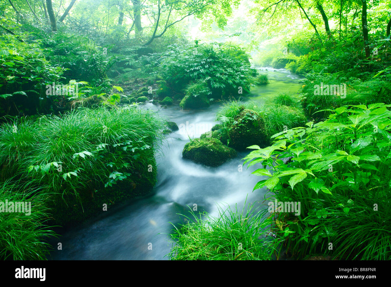 Billabongs hi-res stock photography and images - Alamy