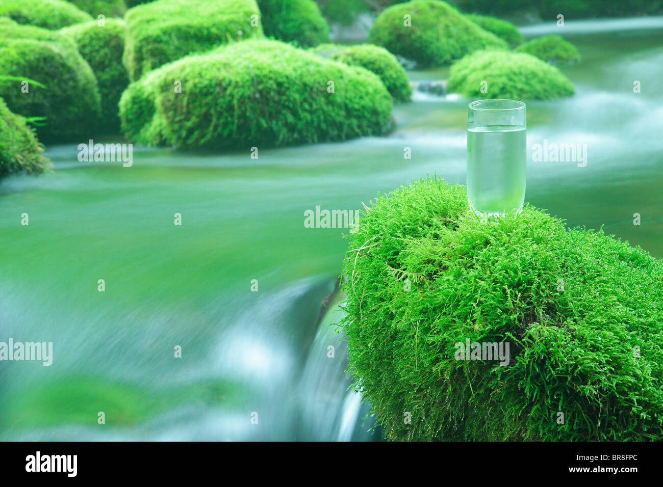 Glass of water on mossy stone by stream Stock Photo - Alamy
