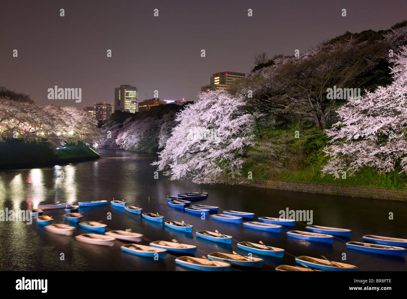 Boats in moat lined with cherry blossom trees Stock Photo - Alamy