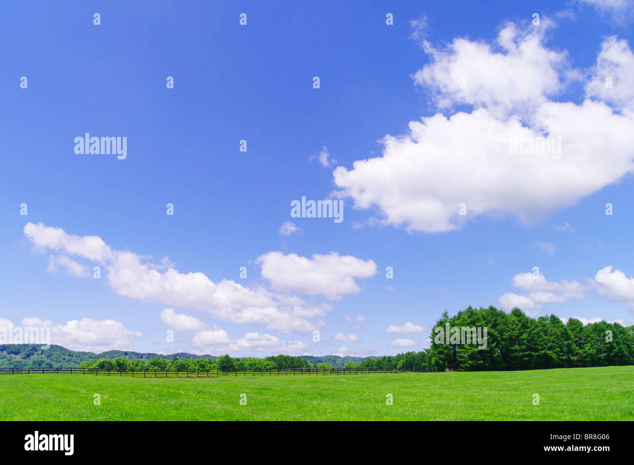 Field, trees and sky Stock Photo - Alamy