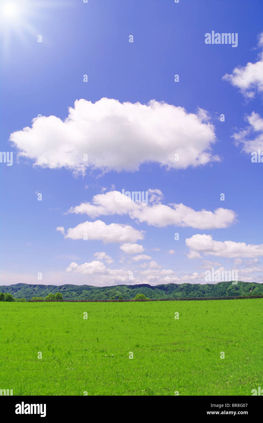 Field, trees and sky Stock Photo - Alamy