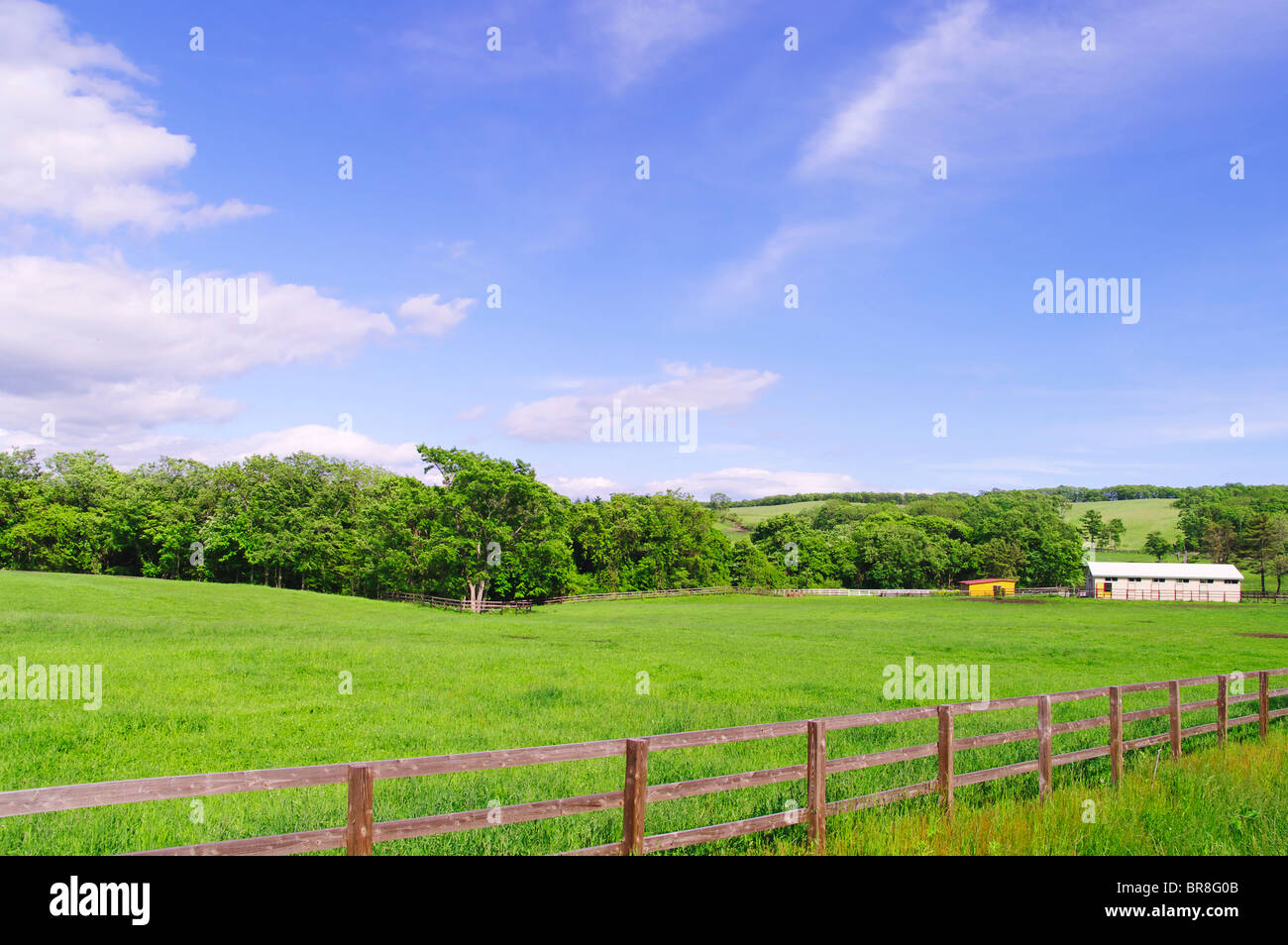 Field, trees and sky Stock Photo - Alamy