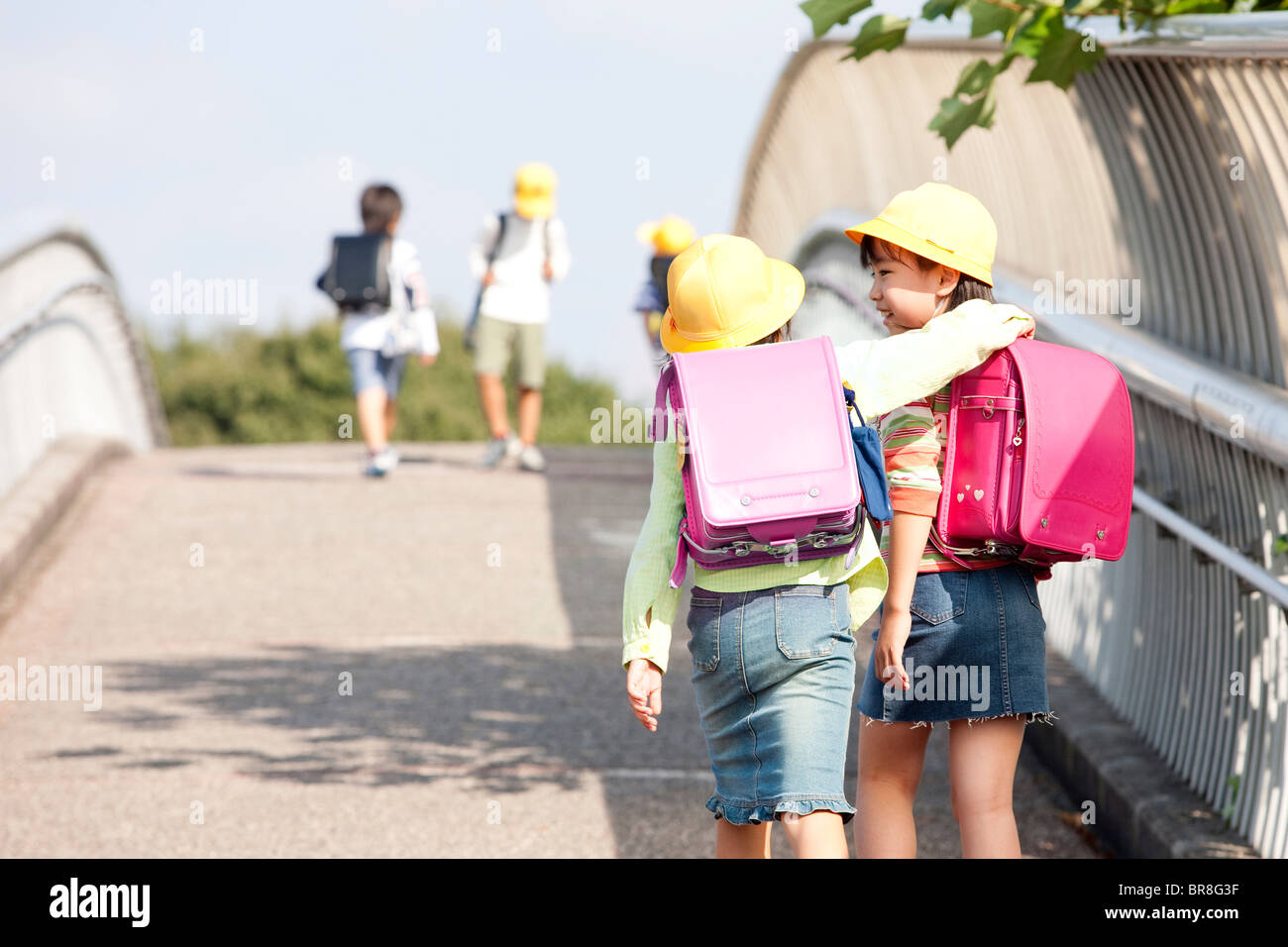 Elementary school students walking to school, rear view Stock Photo - Alamy