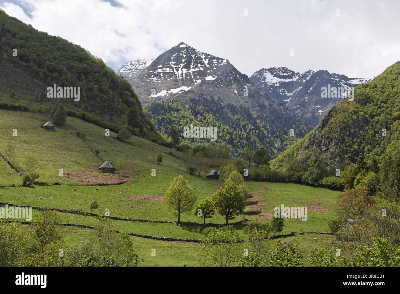 Green Field in Mountains, Midi Pyrenees, France Stock Photo - Alamy