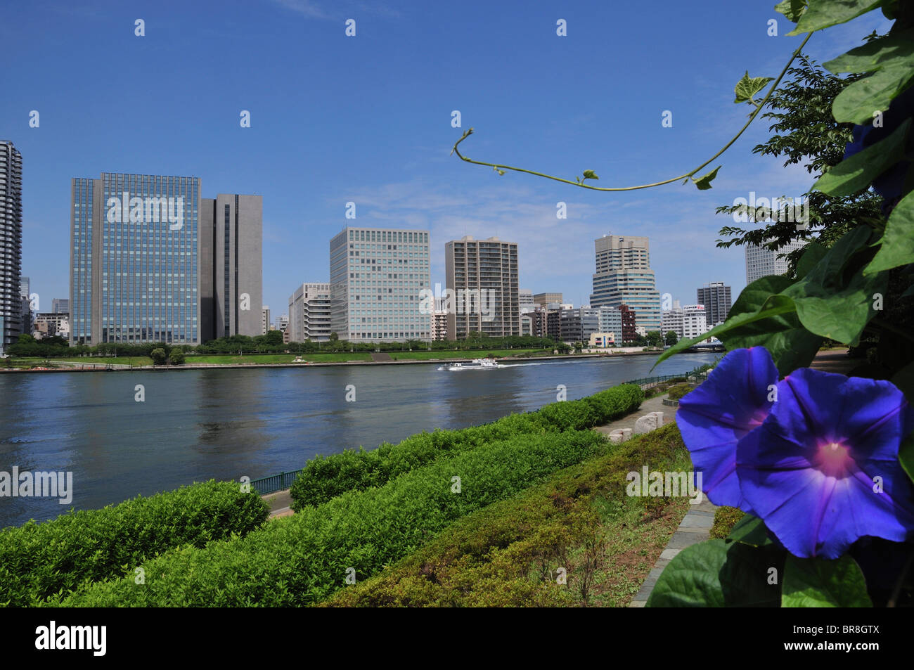 Sumida river and Tokyo skyline Stock Photo - Alamy