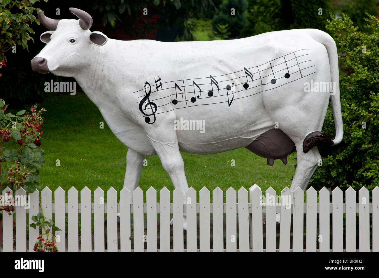 Music cow statue in front of the famous Brundby Rock Hotel at Samsoe ...