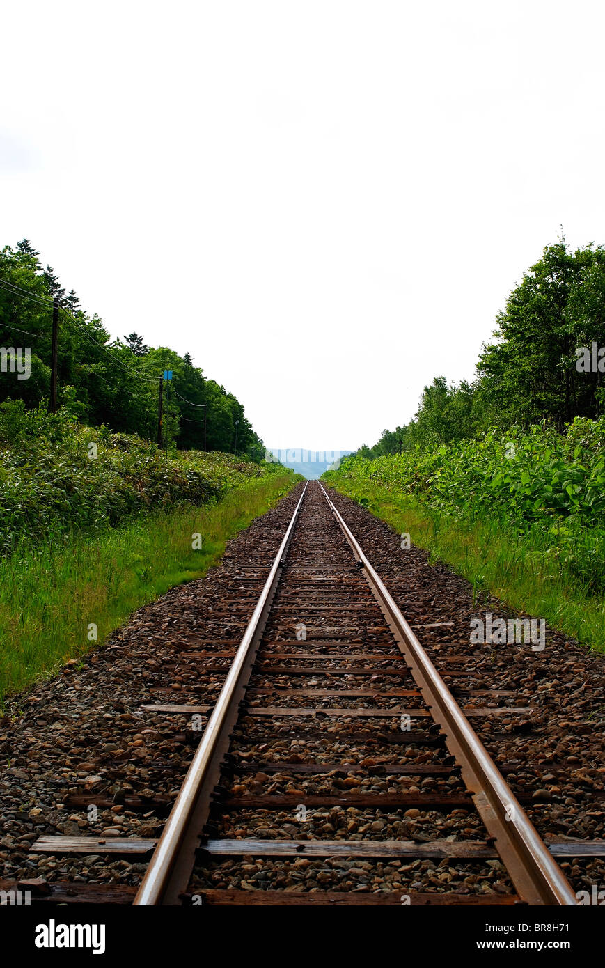 Railroad track transportation tree landscape hi-res stock photography ...