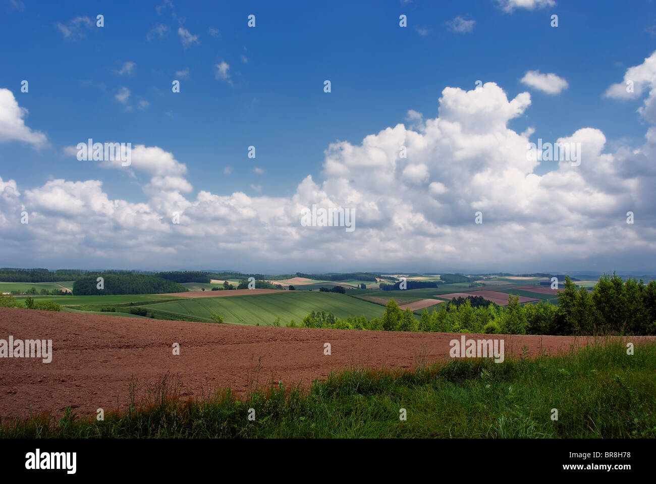 Scenery of field Stock Photo - Alamy